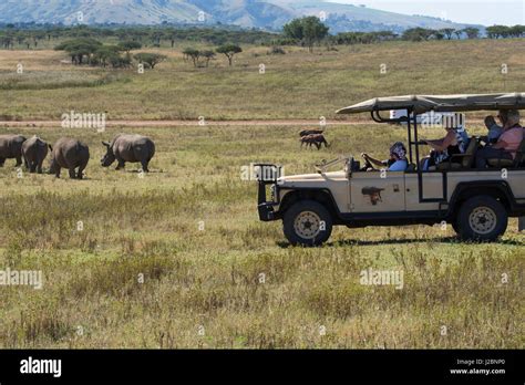 South Africa Durban Tala Game Reserve Tourists In Safari Jeep