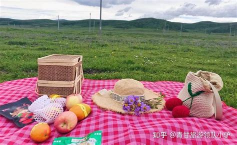 升级版甘南线路来啦~深度游走甘南腹地，从阿万仓湿地到甘加秘境 精品小团 知乎