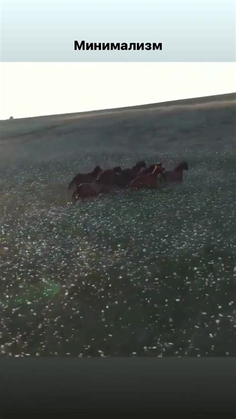 Видео от Петра Першина — Видео от Петра Першина ВКонтакте