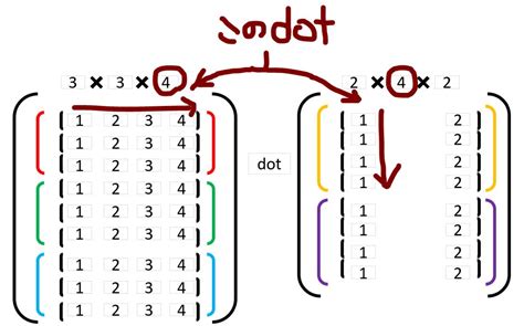 numpy dotの使い方について（次元別の仕様を整理） rainbow engine