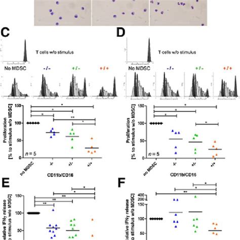 Suppression By Pmn Mdsc Depends On Maturation Status Pmn Mdsc Subsets