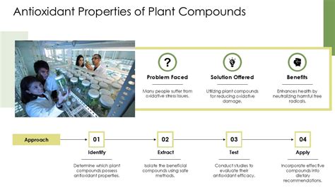 Antioxidant Properties Of Plant Compounds Bioactive Ppt Structure Acp