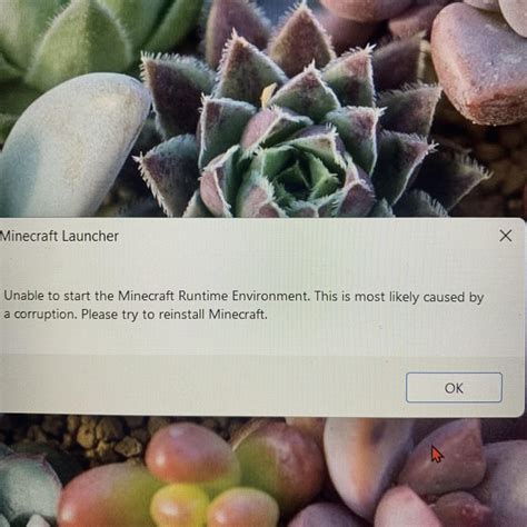 This Has Never Happened To Me Before Help Pls Java Rminecrafthelp