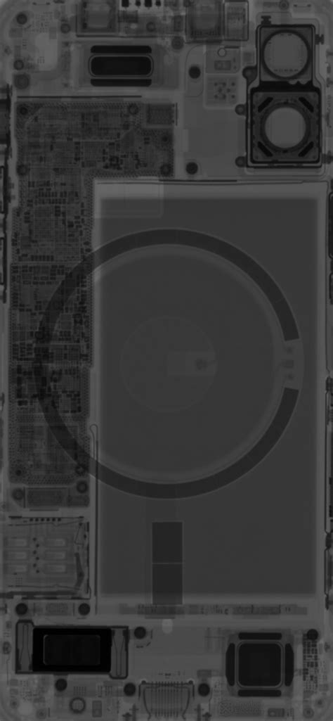 Iphone 11 teardown wallpaper