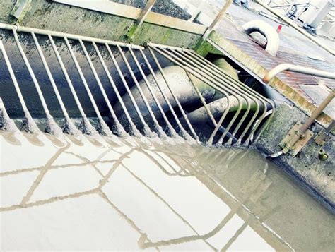 Sex Får Dela På Tio Miljoner Miljö And Utveckling