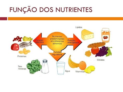 Comportamentos Alimentares