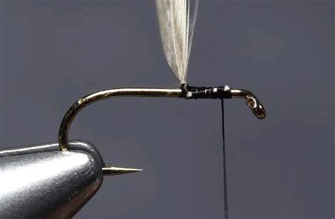 Video 3 Ways To Tie In Dry Fly Hackle Orvis News