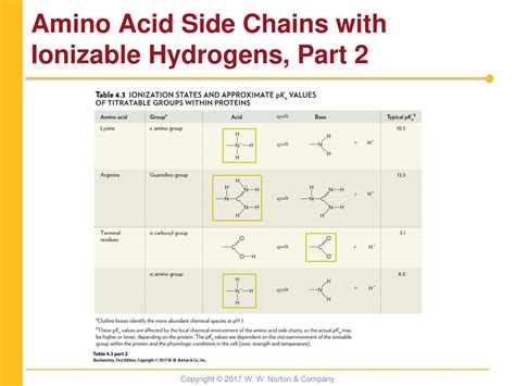 Chapter 4 Protein Structure Ppt Download