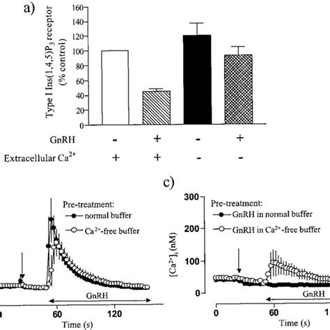 The Influence Of Extracellular Ca 2 On Gnrh Mediated Down Regulation Of