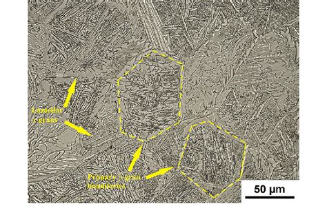 Microstructure Of As Pressed Ti 10 2 3 Alloy Compact Download