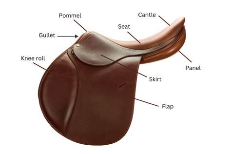 Parts Of An English Saddle