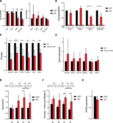 Epigenetic Reprogramming By Tet Enzymes Impacts Co Transcriptional R