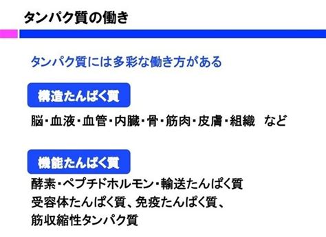 シニア世代はたんぱく質が不足しがち その影響と対策は