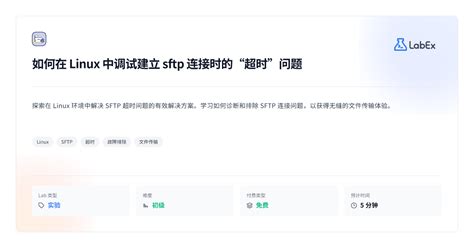 如何在 Linux 中调试建立 Sftp 连接时的“超时”问题 Labex