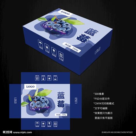 蓝莓包装设计图 广告设计 广告设计 设计图库 昵图网nipic