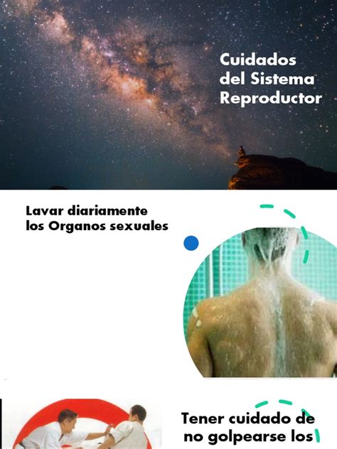 Cuidados Del Sistema Reproductor Pdf