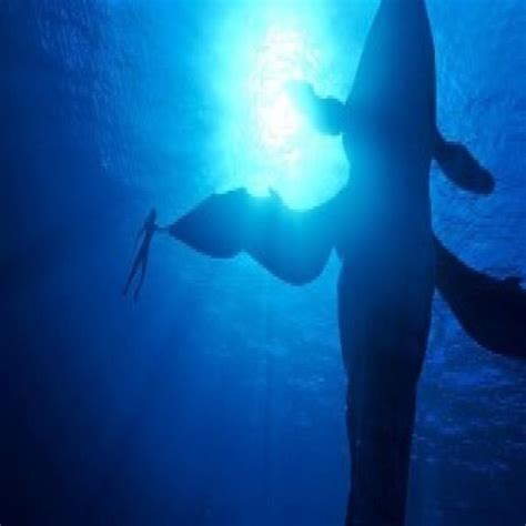 Lab7 Instance Segmentation Dataset And Pre Trained Model By Computer Vision