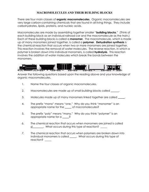 Macromolecules And Their Building Blocks Nina Hollis Library Formative