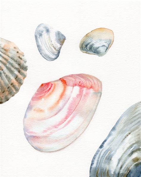 Seashells WATERCOLOR Original Painting Etsy Sea Illustration Art