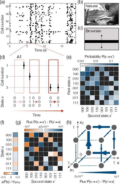 Figure 5 From Emergence Of Local Irreversibility In Complex Interacting
