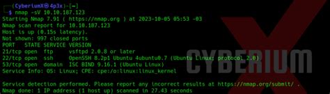 Tryhackme Expose Writeup