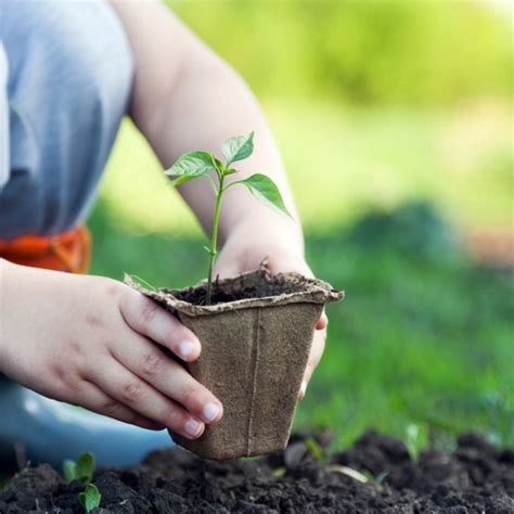 10pcs Seed Starter Pots Trays Kit 12 Hole Pulp See Vicedeal