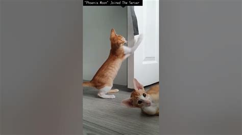 Back To The Rucksuck Youtube