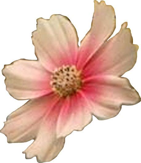 Как нарисовать цветок акварелью