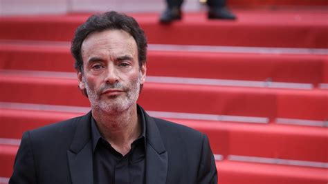 Mort Dari Boulogne Fils Non Reconnu Dalain Delon Une Destinée