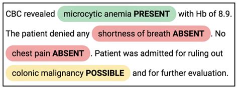 Projekt Clinical Assertion Classification