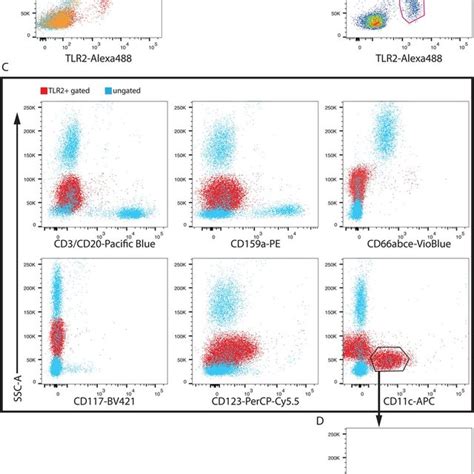 Tlr2 Bright Cells Express Canonical Monocyte Markers In Human Blood