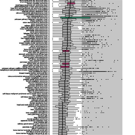The Relationship Between Tumor Mutation Burden And Microsatellite