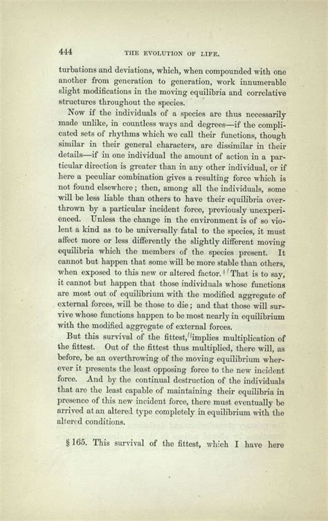 Survival Of The Fittest Definition And Examples Britannica