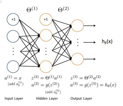 浅谈神经网络训练方法，deepmind更青睐正向传播 Csdn博客