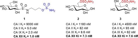 Glycoconjugate Ca Xii Inhibitors That Have Been Used In Combination