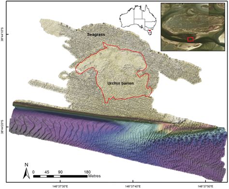 Ultra High Resolution Multibeam Sonar Coverage 20 Cm Resolution Of Download Scientific