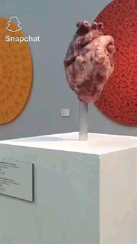 Junior Salles Adl Kullan C N N Salvamentos R U E Pidos Panosundaki