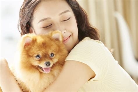 ペット可の賃貸住宅で注意しておくべきこと 住まい・暮らしの情報サイト Salaつむぎ