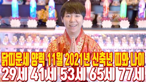 닭띠운세 양력 11월 2021년 신축년 띠와 나이 29세 41세 53세 65세 77세 부천 부산 용한 무당 점집 추천 후기