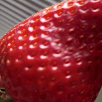 Lilly Hall On Twitter Felt Cute Https T Co M AXDMuS Twitter