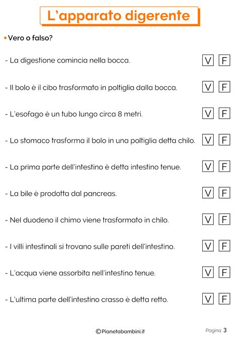 La Pelle E Il Tatto Schede Didattiche Per La Classe Q Vrogue Co