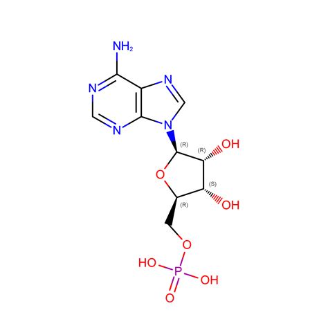 Adenosine Monophosphate