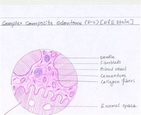 Dental Topics Dental Edge