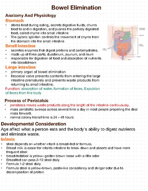 Physical Assessment And Management Of Bowel Elimination In Nursing