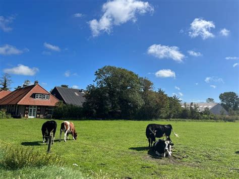Castricum Travel Guide A Hidden Gem In The Netherlands