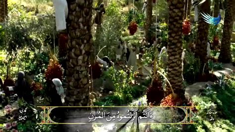 سوره واقعه آیات 68 الی 70 شبکه قرآن