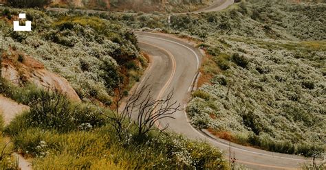 낮에는 푸른 잔디밭 사이의 회색 아스팔트 도로 사진 Unsplash의 무료 회색 이미지