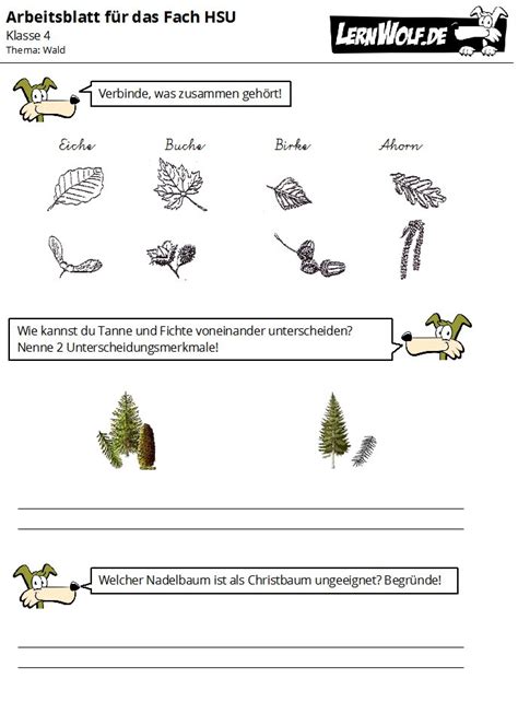 Proben Und Lernzielkontrollen F R Sachkunde Hsu In Der Grundschule Kostenlos Zum Download