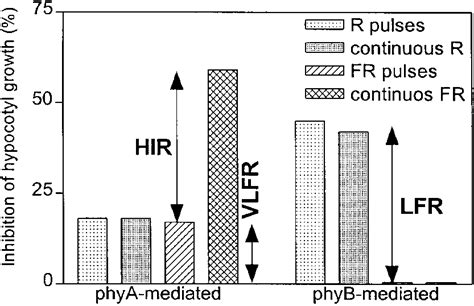 Phya And Phyb Mediated Responses To Hourly Pulses Or Download