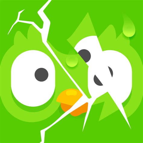 Duolingo Language Lessons Apps On Google Play
